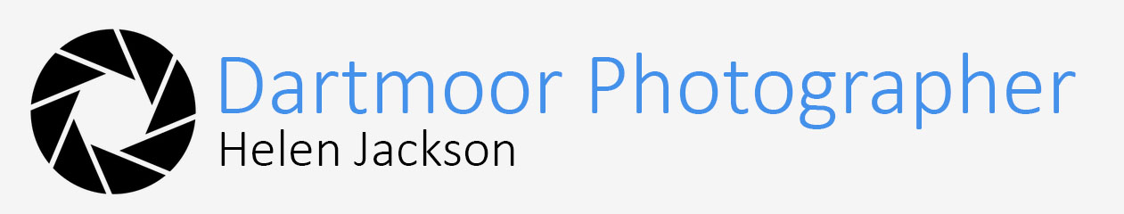 Helen Jackson - Official Website